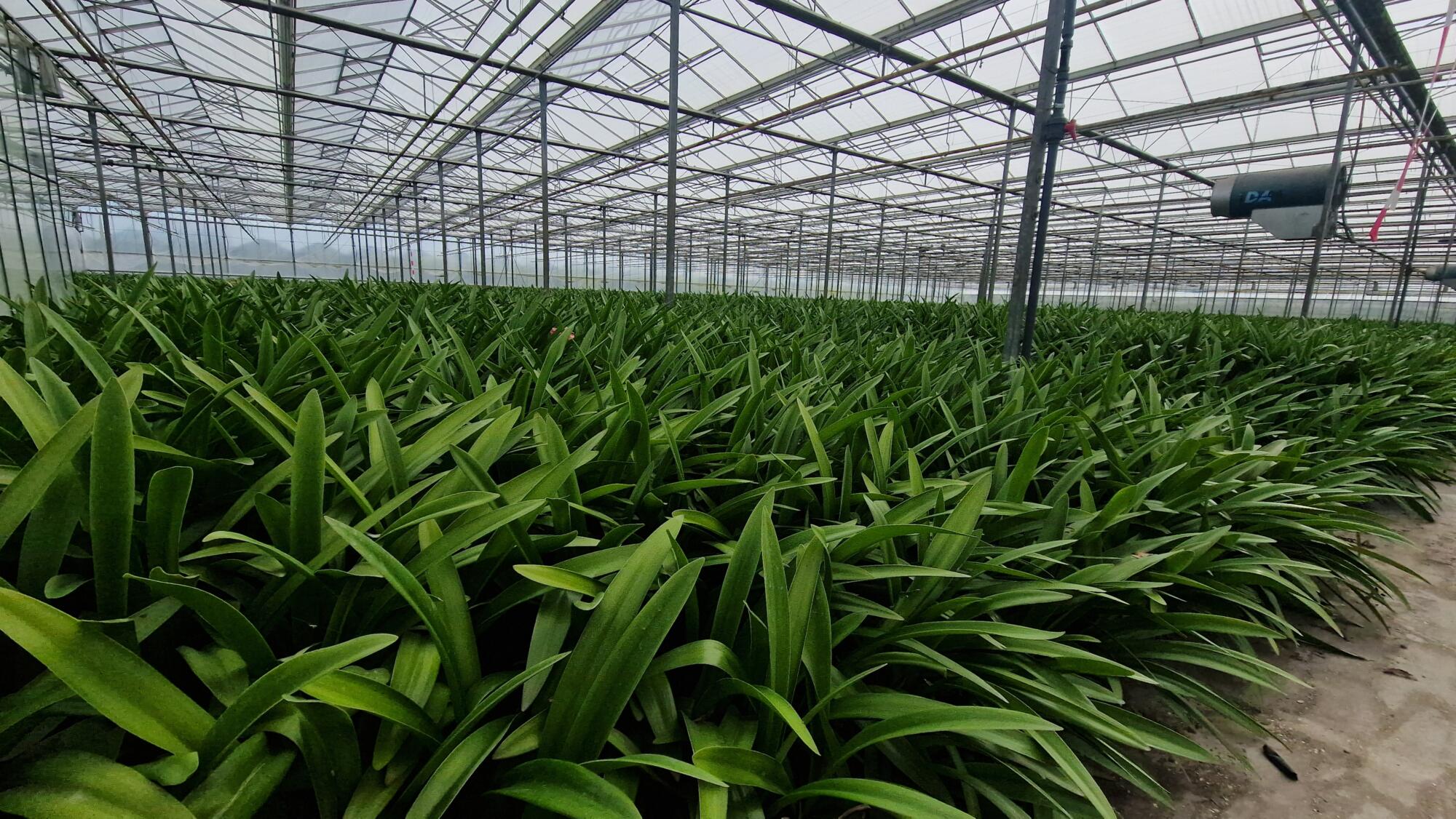 Martin Boers - Ledgnd