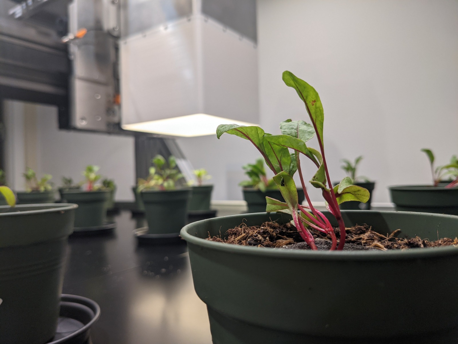 Smart sensors are finding their way to the innovative LED optimization ...