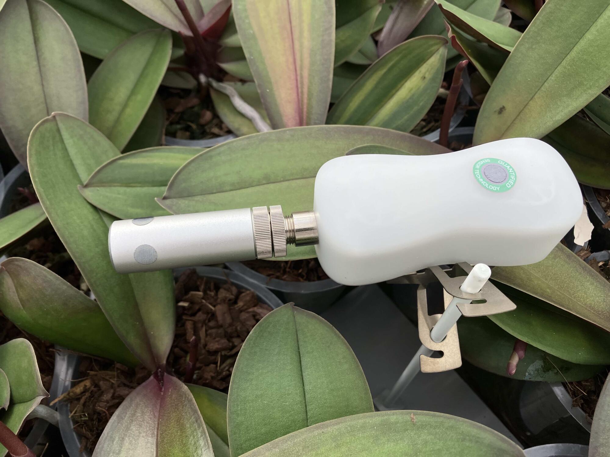 The five most commonly used multisensors in greenhouse horticulture ...