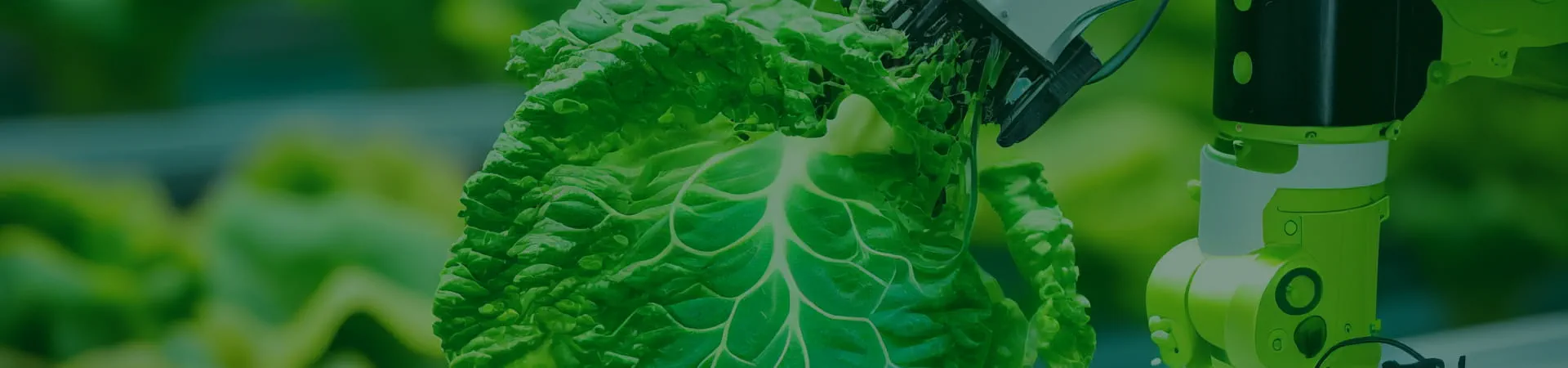 GreenTech 2024 - Ledgnd