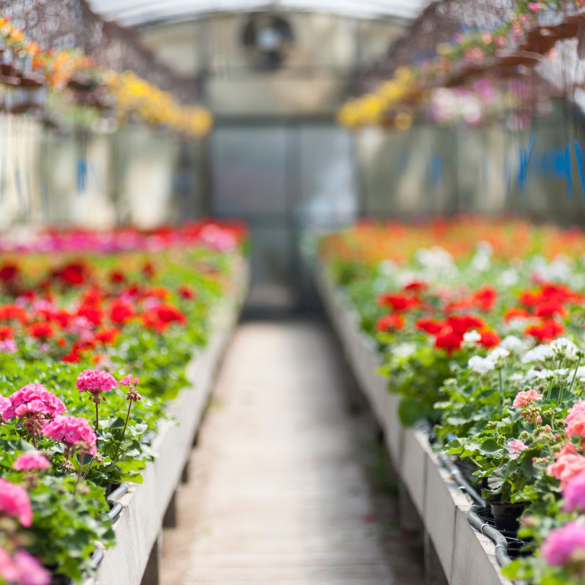 Meet Ledgnd Robin Klaassen - Ledgnd