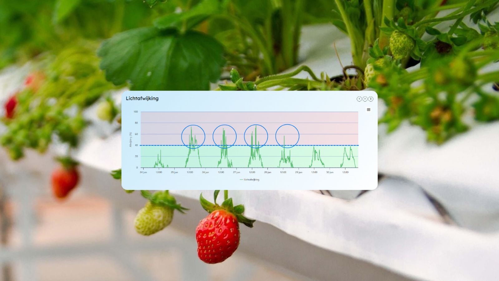 Invisible plant stress Part I – What your plant is trying to tell you ...