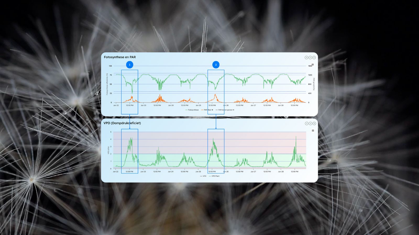 Invisible plant stress Part II – How VPD helps detect early stress - Ledgnd