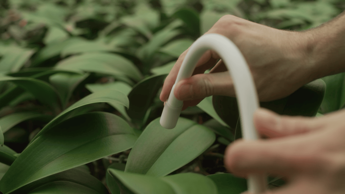 Better cultivation decisions thanks to plant feedback - Ledgnd